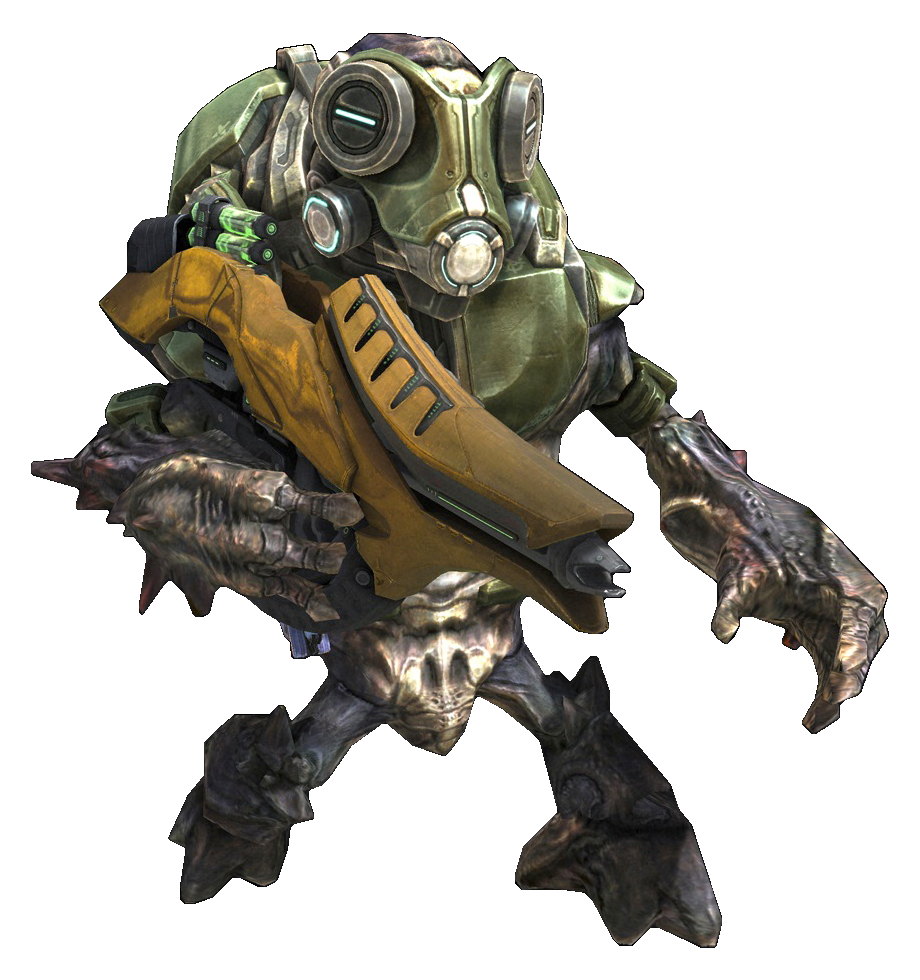 File:HReach - Heavy Unggoy.png - Halopedia, the Halo wiki