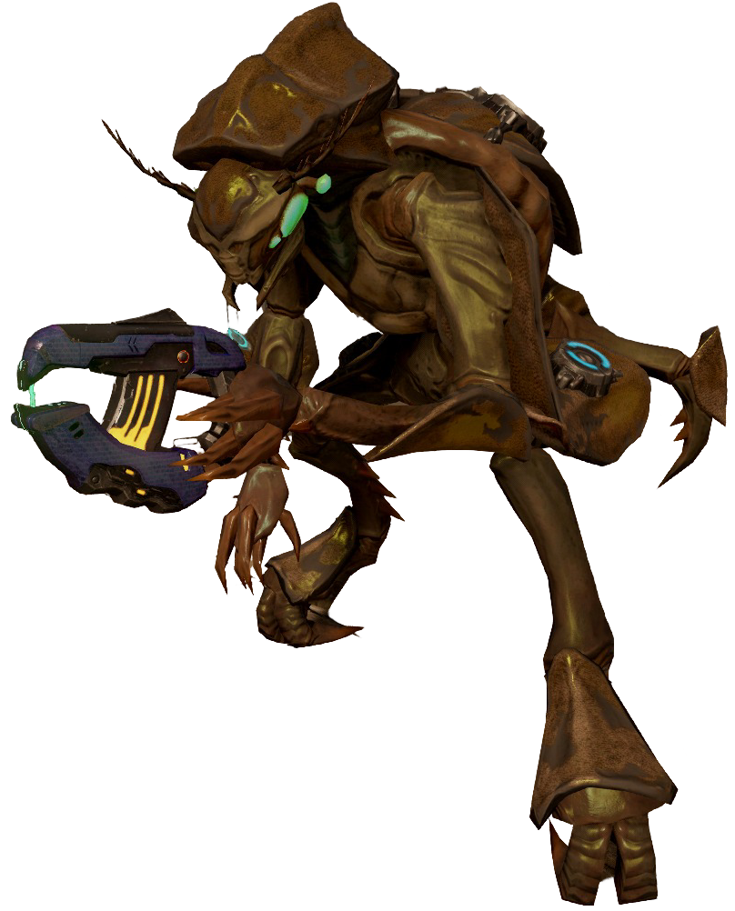 Yanme'e - Species - Halopedia, the Halo wiki