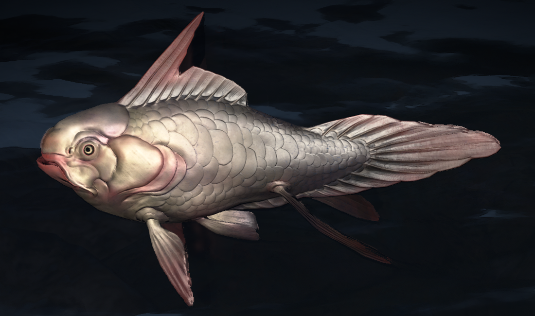 File:HINF Fish.png - Halopedia, the Halo wiki