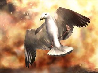 List of animals - Halopedia, the Halo wiki