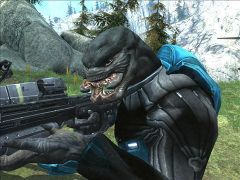 Category:Images of Halo: Reach multiplayer Sangheili - Halopedia, the ...
