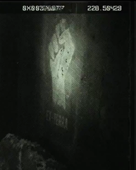 Insurrectionists - Faction - Halopedia, the Halo wiki