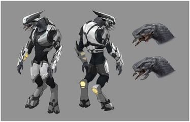 Rtas 'Vadum - Character - Halopedia, the Halo wiki