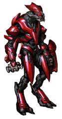 Sangheili Major - Halopedia, the Halo wiki