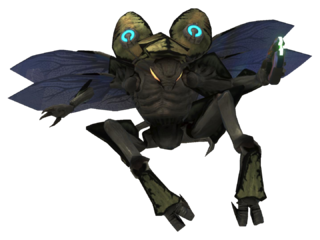 Yanme'e - Species - Halopedia, the Halo wiki