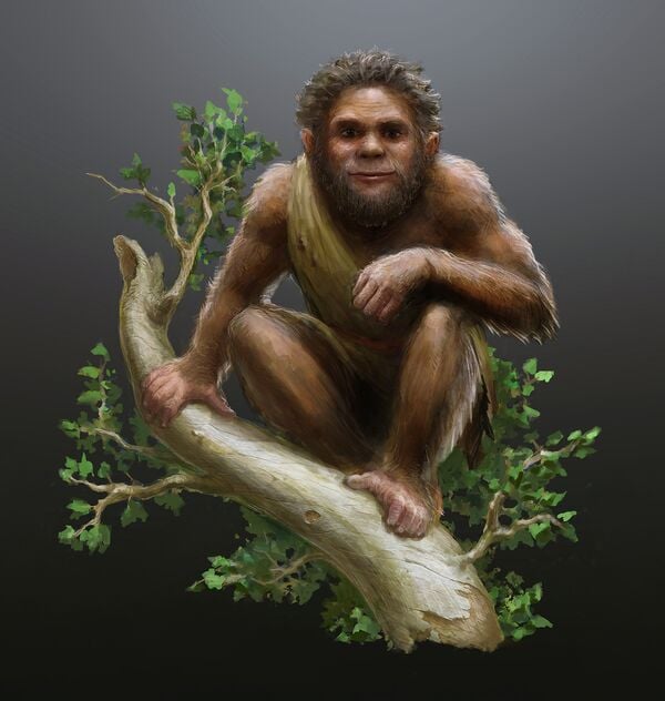 Day-Chaser Makes Paths Long-stretch Morning Riser - Character ...