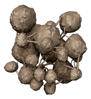 Flood spore - Halopedia, the Halo wiki