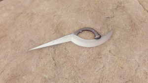 Curveblade - Halopedia, the Halo wiki