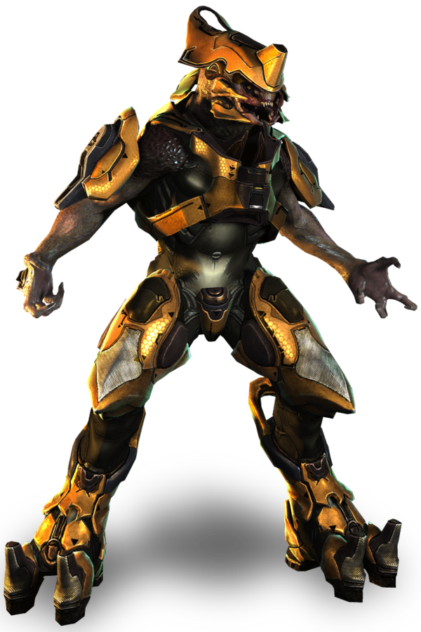 Sangheili Warrior - Halopedia, the Halo wiki