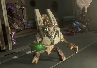 Unggoy Ultra - Halopedia, the Halo wiki