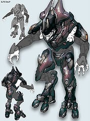 Sangheili Zealot - Halopedia, the Halo wiki
