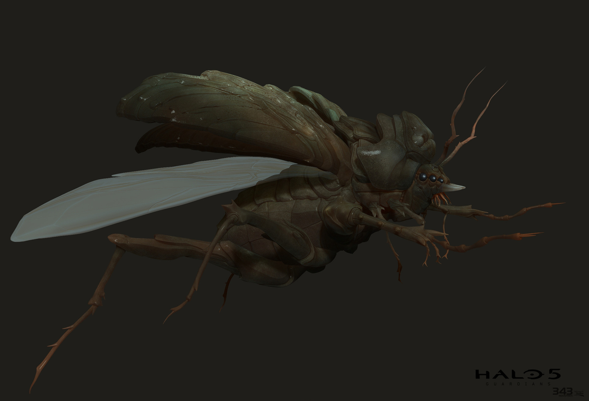 Sangheili beetle - Halopedia, the Halo wiki