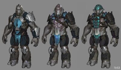 Jiralhanae Warrior - Halopedia, the Halo wiki