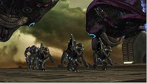 Covenant Special Operations - Halopedia, the Halo wiki