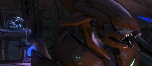 Rtas 'Vadum - Character - Halopedia, the Halo wiki