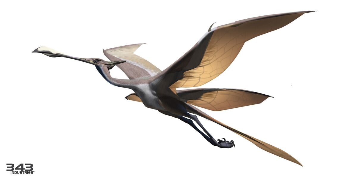 File:Enc22 Quadwing.jpg - Halopedia, the Halo wiki