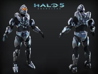 Armor customization (Halo Online) - Halopedia, the Halo wiki