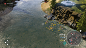 Fish - Halopedia, the Halo wiki