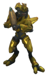 Sangheili General - Halopedia, the Halo wiki