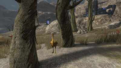 Moa statue (Halo: Reach) - Halopedia, the Halo wiki