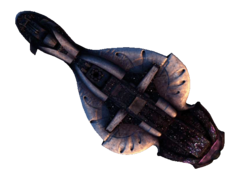 Ket-pattern battlecruiser - Ship class - Halopedia, the Halo wiki