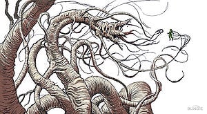 Category:Images of the Gravemind - Halopedia, the Halo wiki