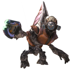 Unggoy Minor - Halopedia, the Halo wiki