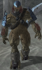 Jiralhanae Major - Halopedia, the Halo wiki