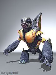 Unggoy Minor - Halopedia, the Halo wiki
