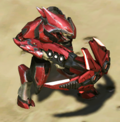 Sangheili Enforcer - Halopedia, the Halo wiki