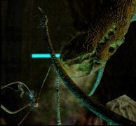 Category:Images of 2401 Penitent Tangent - Halopedia, the Halo wiki