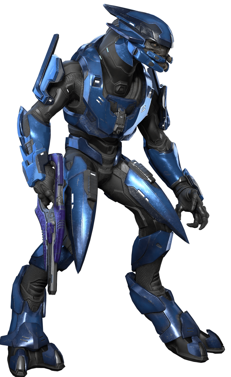 Sangheili Mercenary - Halopedia, the Halo wiki
