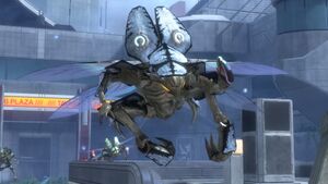 Yanme'e - Species - Halopedia, the Halo wiki