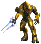 Sangheili Zealot - Halopedia, the Halo wiki