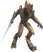 Chak 'Lok - Character - Halopedia, the Halo wiki