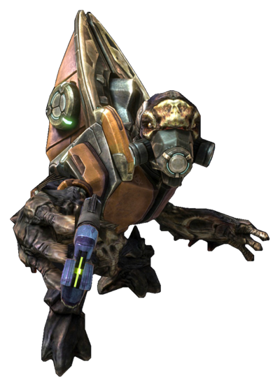 Unggoy combat harness - Halopedia, the Halo wiki