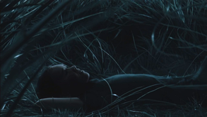 Starry Night - Halopedia, the Halo wiki