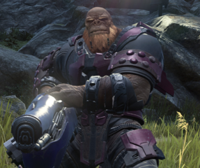 Balkarus - Character - Halopedia, the Halo wiki