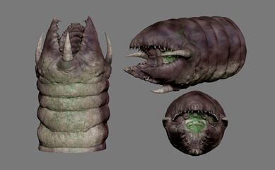 Glassworm - Species - Halopedia, the Halo wiki