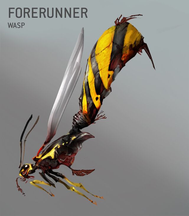 Forerunner wasp - Halopedia, the Halo wiki