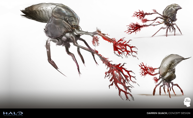 Pod infector - Species - Halopedia, the Halo wiki
