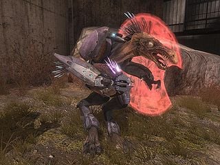Kig-Yar - Species - Halopedia, the Halo wiki