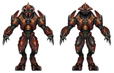 Sangheili Major - Halopedia, the Halo wiki