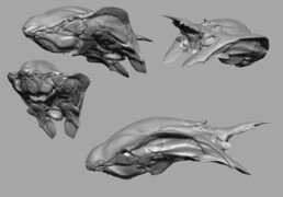 Mikpramu-pattern Warrior Transport - Ship class - Halopedia, the Halo wiki