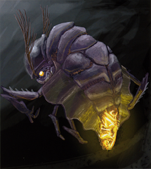 Yanme'e - Species - Halopedia, the Halo wiki