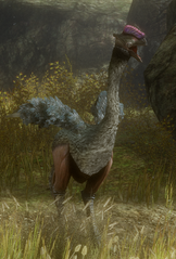 Moa - Species - Halopedia, the Halo wiki