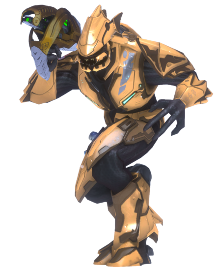 Elite (Multiplayer) - Character - Halopedia, the Halo wiki