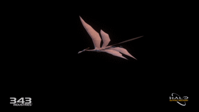 Rangmejo - Halopedia, the Halo wiki