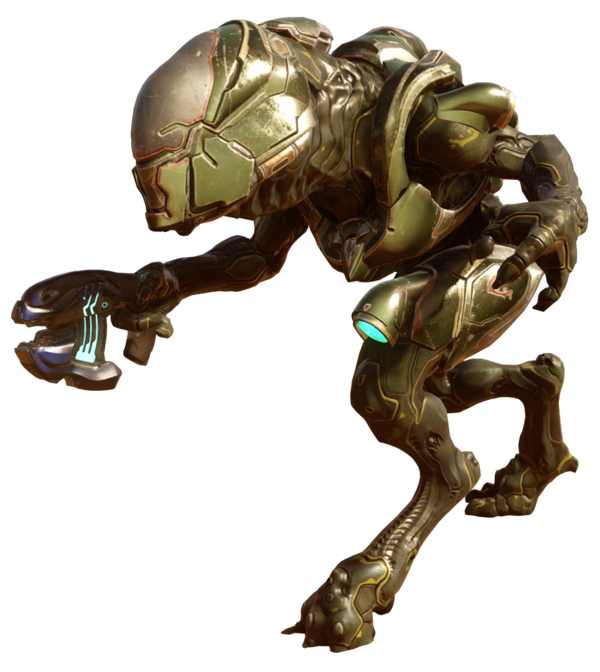 Kig-Yar Ranger - Halopedia, the Halo wiki