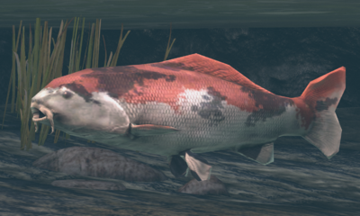 Fish - Halopedia, the Halo wiki